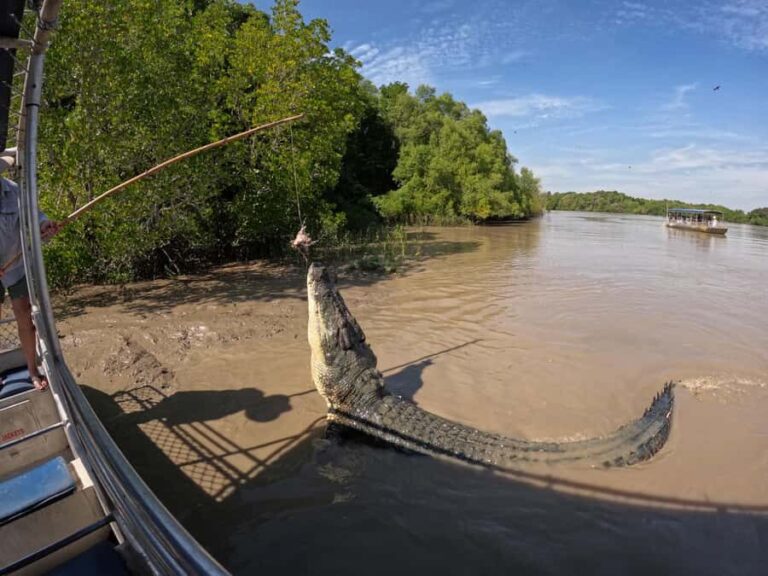 Darwin: The Croc Bus to the Famous Jumping Crocodile Cruise - Why This Tour Works for You