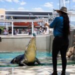 Darwin: VIP Crocosaurus Cove Experience - What to Expect from the Tour