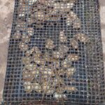 Davids North Shore Tour - What’s Included and What’s Not