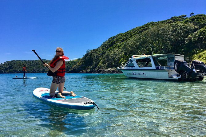 Day Cruise & Island Tour - Snorkel/Wildlife/Paddleboard/Islands - What to Expect and What to Bring