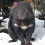 Day Keeper Tour - Final Thoughts: Is the Day Keeper Tour Worth It?