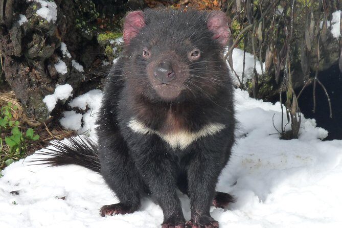 Day Keeper Tour - Final Thoughts: Is the Day Keeper Tour Worth It?