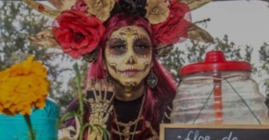 Day of the Dead in Mexico City: Mexican dinner and party in Xochimilco - The Experience: What You’ll Really Take Away