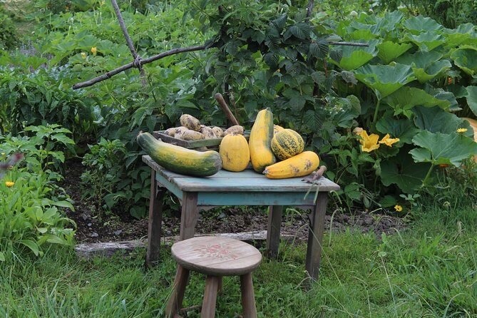 Day Tour Hobbiton + Rotorua from Auckland in Luxury Minibus - What You Can Expect from the Experience