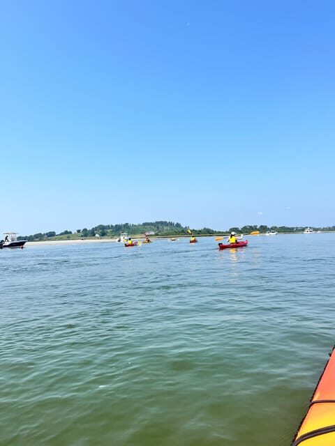 Day Trip from Boston: Guided Kayak at the Crane Estate - Final Thoughts: Who is This Tour Best For?