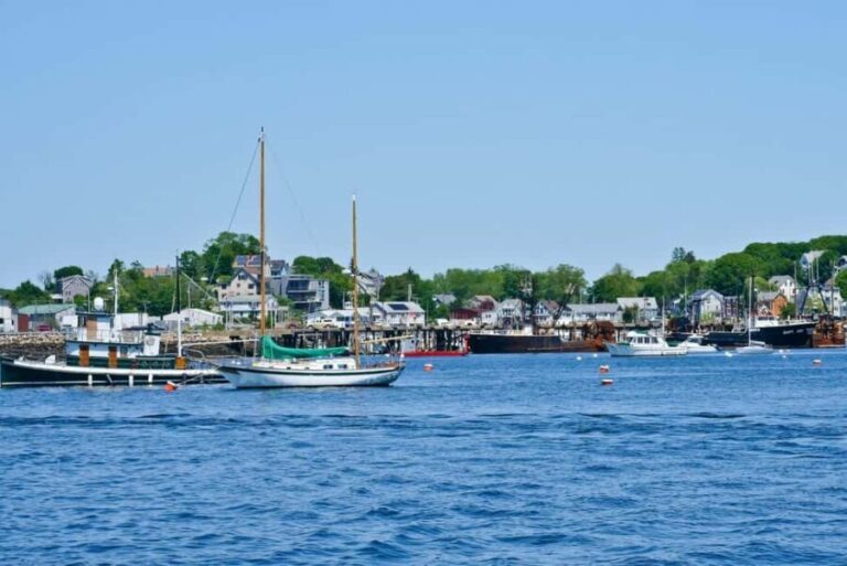 Day Trip From Boston: Kayak Tour through Gloucester Harbor - What to Expect on the Tour