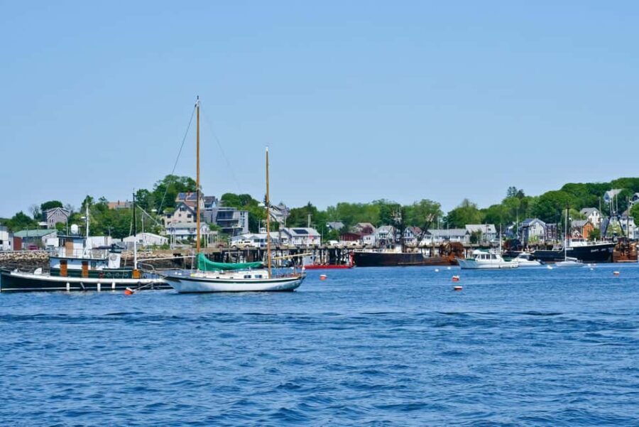 Day Trip From Boston: Kayak Tour through Gloucester Harbor - What to Expect on the Tour