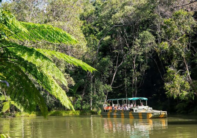 Day Trip: Rainforest & Aboriginal Culture Tour - The Cultural and Adventure Fusion