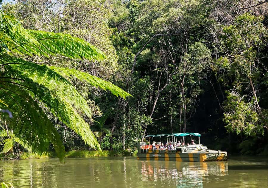 Day Trip: Rainforest & Aboriginal Culture Tour - The Cultural and Adventure Fusion