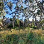 Daylesford Goldfields Track Walking and Wellness Experience - Price and Value: Is It Worth It?