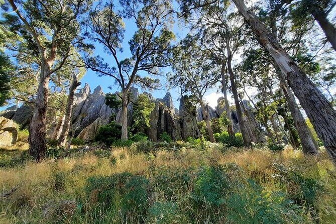 Daylesford Goldfields Track Walking and Wellness Experience - Price and Value: Is It Worth It?