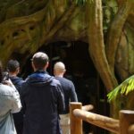 Daytime Scenic Rim Glow Worm Tour + Hop on Hop off Bus - Exploring the Itinerary in Detail