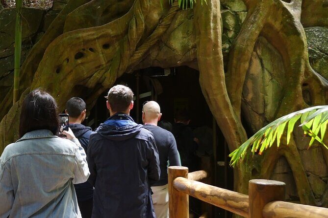 Daytime Scenic Rim Glow Worm Tour + Hop on Hop off Bus - Exploring the Itinerary in Detail