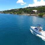 Deep sea fishing - Authentic Insights from Past Travelers