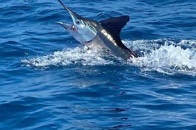 Deep Sea Fishing Tour in Huatulco Bays - The Real Value of This Tour