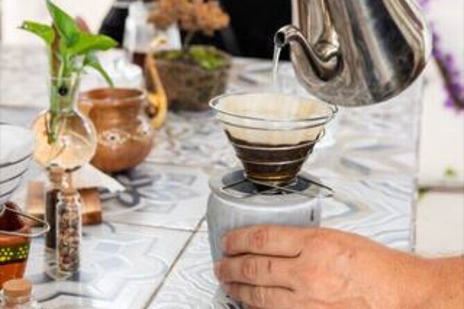 Del Grano al Cafe Learn how to roast grind and prepare coffe - An In-Depth Look at the Coffee Journey