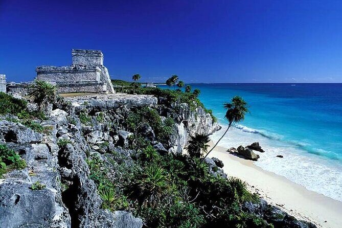 Deluxe Cenote,Tulum, Coba & 5th Avenue from Cancun & Riviera Maya - Transportation & Logistics