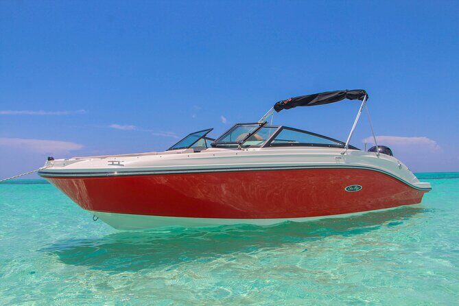 Deluxe Private Boats - 24 ft Sea Ray - A Deep Dive into the Private Boat Tour