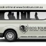 Deluxe Springbrook & Mt Tamborine Glow Worms and famous Skywalk - Mount Tamborine: Art, Food, and Forests