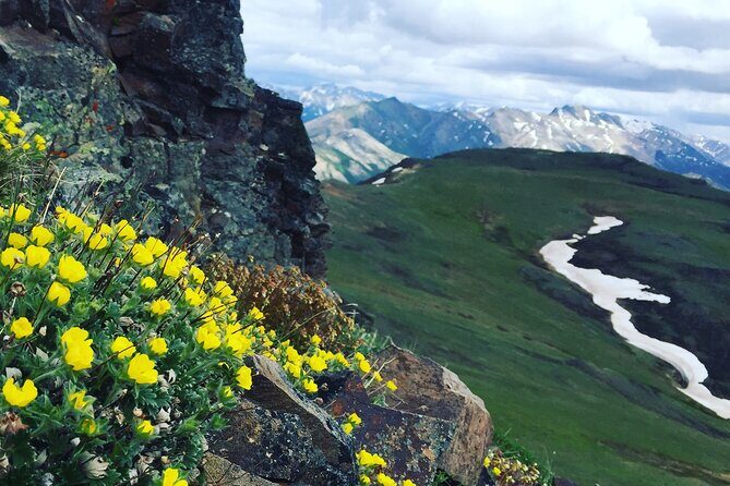 Denali 4 Hour Hiking Adventure with Naturalist Guide - The Itinerary: A Closer Look
