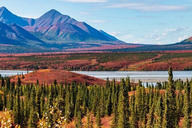 Denali Highway Overnight Excursion - Transportation, Guides, and Practical Details
