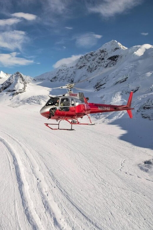 Denali National Park: Helicopter Flight with Glacier Landing - Who Will Love This Tour?