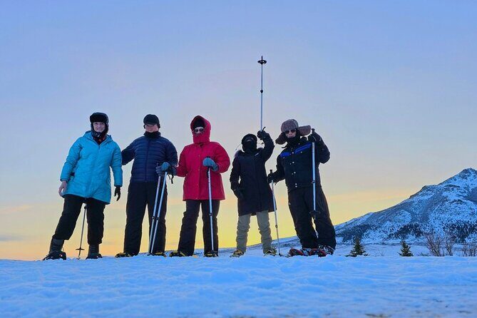 Denali National Park plus Aurora Chase Tour - What’s Included and What’s Not