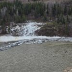 Denali National Park Shuttle - The Sum Up