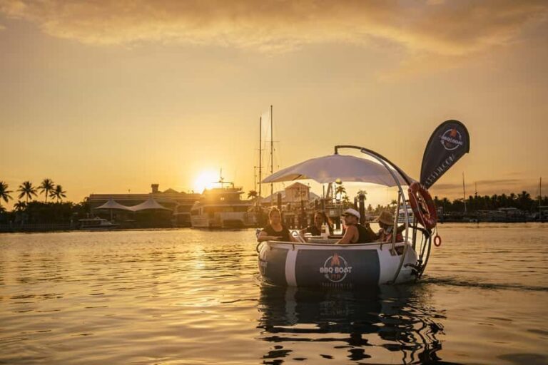 Denarau: Self Drive BBQ eBoat Cruise with Onboard BBQ Fiji - The Experience in Detail