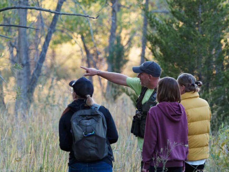 Denver: Birding Basics and Beyond - Practical Details: What to Know Before You Go