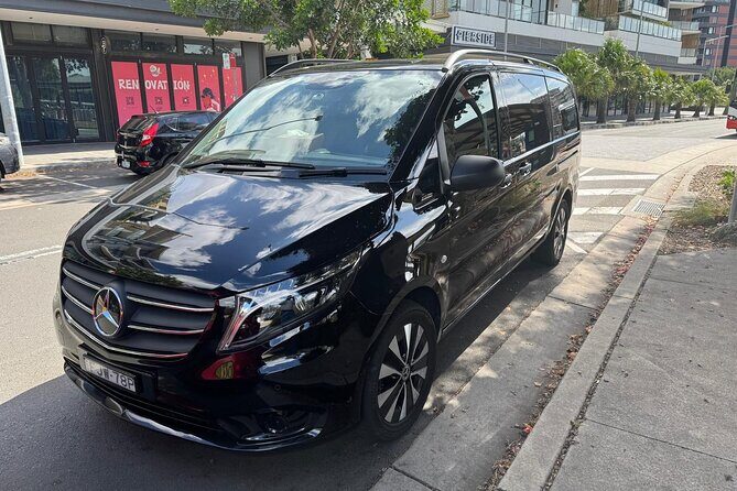 Departing Sydney: Luxury Transfer to Airport or Cruise Port - Who Is This Transfer Service Best For?