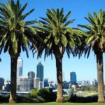 Departure Transfer: Perth to Perth Airport PER by Business Car - The Itinerary and Service Details