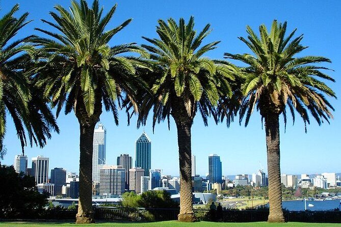 Departure Transfer: Perth to Perth Airport PER by Business Car - The Itinerary and Service Details