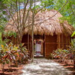 Desde Mérida: Izamal, Yokdzonot & Tsukán (Oneday) - Practical Details and What to Expect