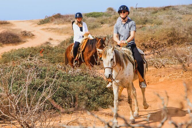 Desert and Beach Horseback Riding Experience in Cabo - Practical Details and What’s Included