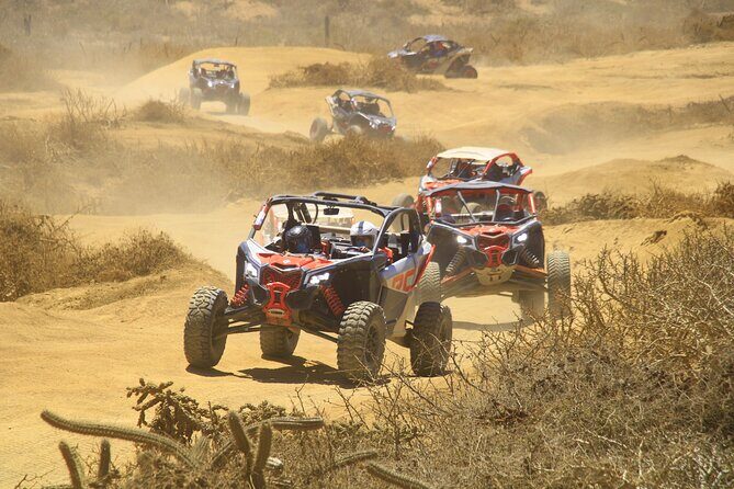 Desert and Beach Off Road Tour in Cabo San Lucas - The Details That Matter