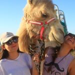 Desert & sea, Camel Safari tour in Los Cabos with lunch - What’s Included and What To Keep in Mind