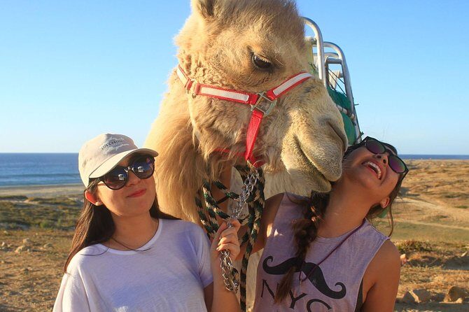 Desert & sea, Camel Safari tour in Los Cabos with lunch - What’s Included and What To Keep in Mind