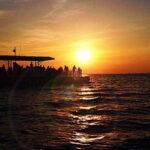 Destin: Dolphin Watching Cruise - Detailed Experience Breakdown