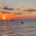 Destin Private Boat Tours Dolphin Crab Island Snorkel Sunset - Who Should Consider This Tour?