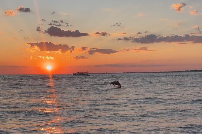 Destin Private Boat Tours Dolphin Crab Island Snorkel Sunset - Who Should Consider This Tour?