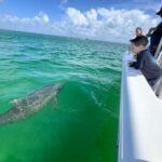 Destin: Private Morning Dolphin Cruise - Who Should Consider This Tour?