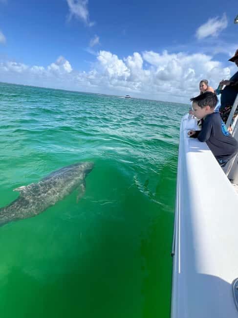 Destin: Private Morning Dolphin Cruise - Who Should Consider This Tour?
