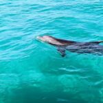 Destin: Public 3 Hour Crab Island and Harbor Tour - Equipment and Amenities: What’s Included and What to Expect