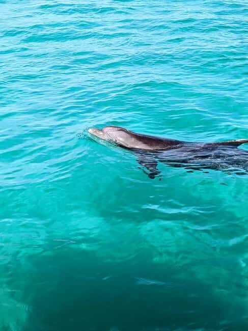 Destin: Public 3 Hour Crab Island and Harbor Tour - Equipment and Amenities: What’s Included and What to Expect
