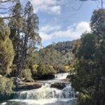 Devonport Cradle Mt Sightseeing tour - Authentic Insights from Past Travelers