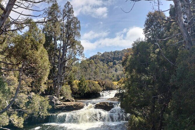 Devonport Cradle Mt Sightseeing tour - Authentic Insights from Past Travelers