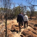 Dinosaur Stampede 3/4 Day Tour from Winton - Visiting Lark Quarry and the Dinosaur Trackways