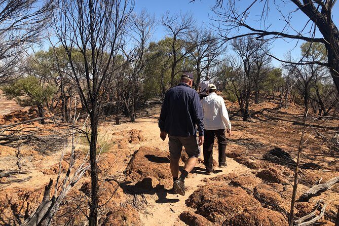 Dinosaur Stampede 3/4 Day Tour from Winton - Visiting Lark Quarry and the Dinosaur Trackways