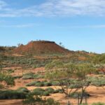 Dinosaur Stampede Half Day Tour - Dino Dash - The Lark Quarry Discovery: Guided Tour Insights